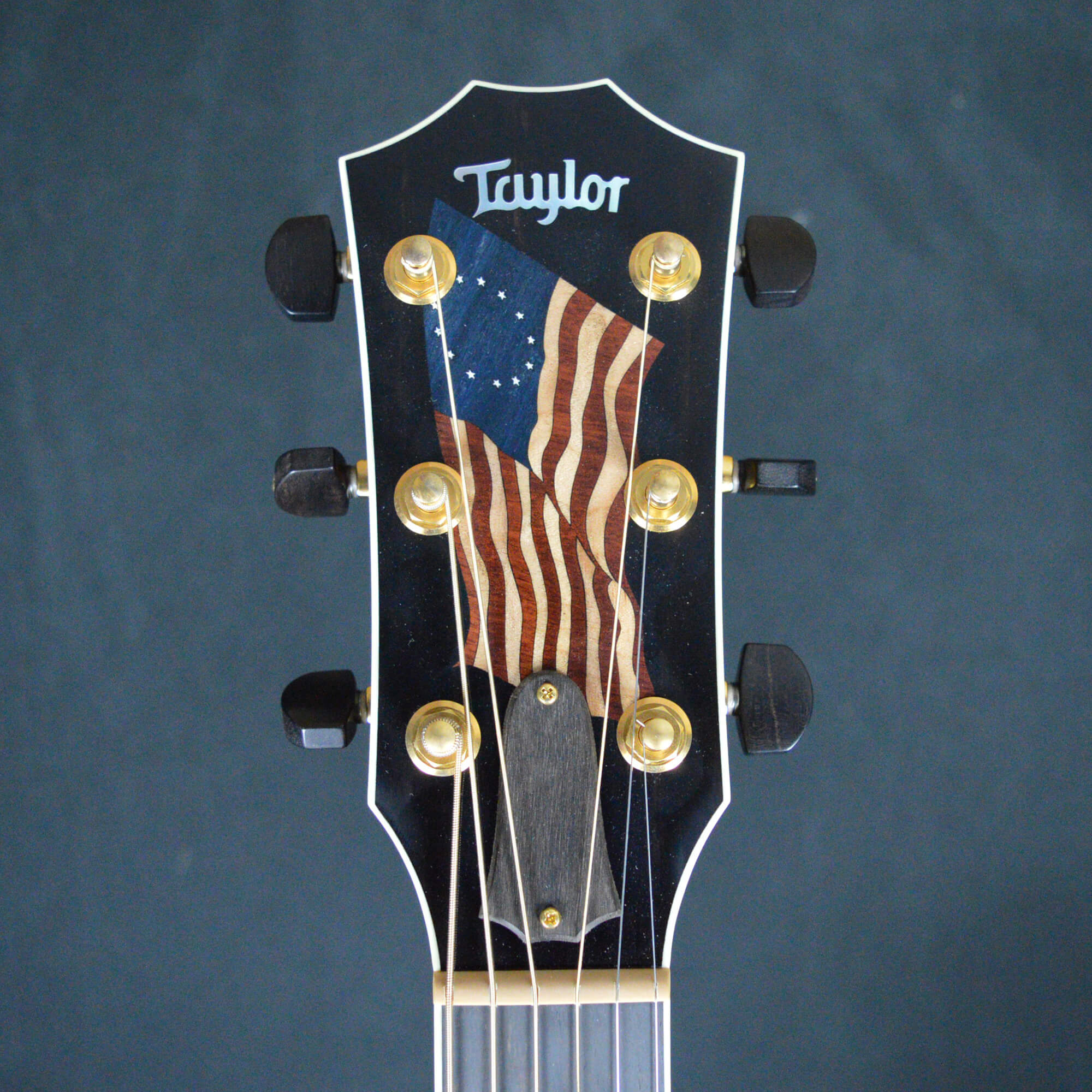 Taylor Liberty Tree Guitar – Picker’s Supply