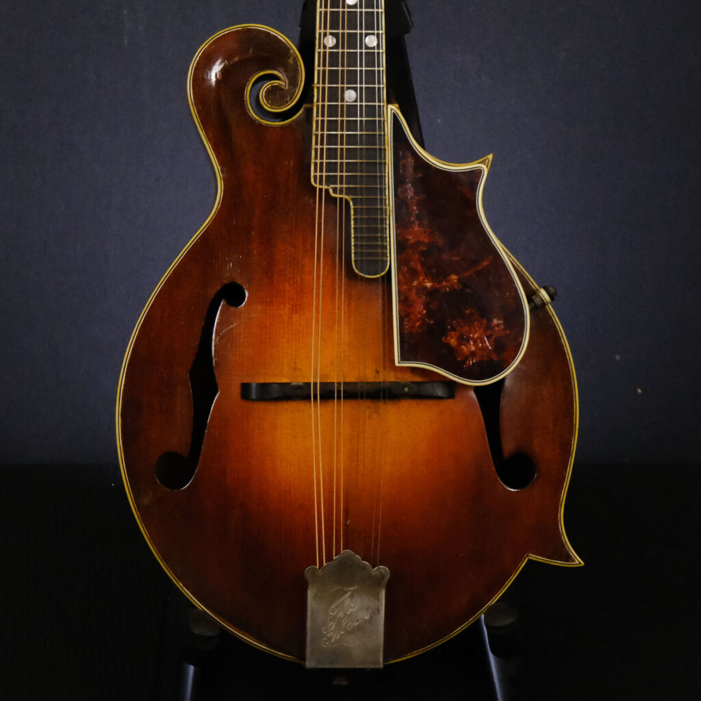 Picker's Supply, New, Used, & Vintage musical instruments in ...
