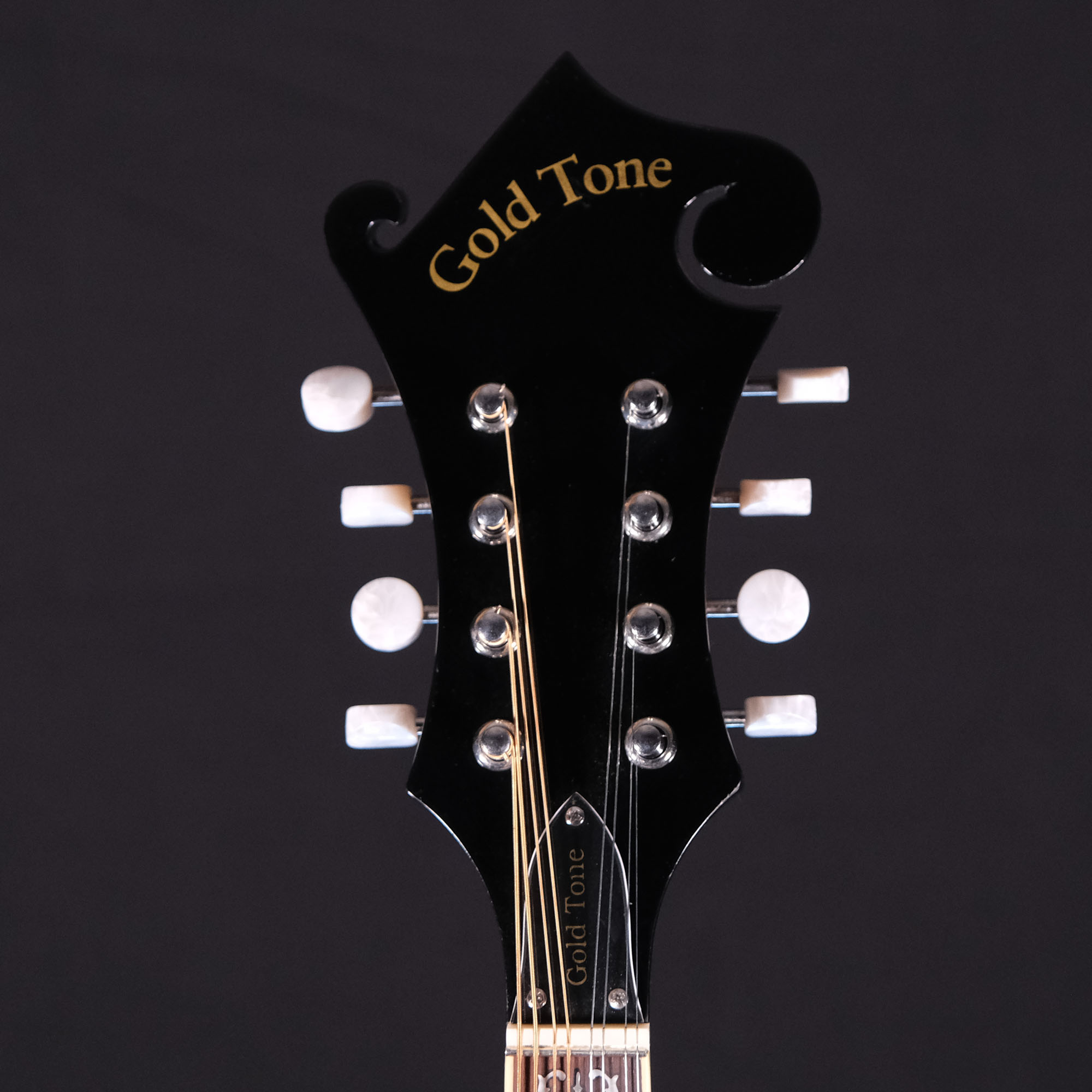 Gold Tone GM-35 F-Style Mandolin | Picker's Supply