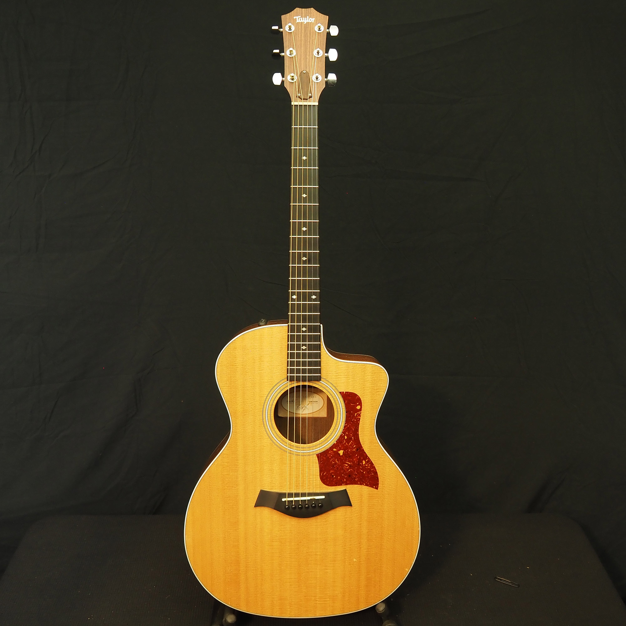 2021 Taylor 214CE | Picker's Supply